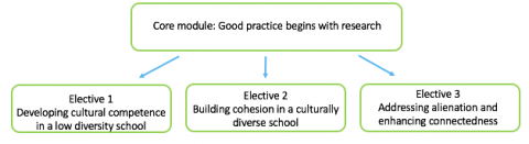 Cohesion in Diversity online course | Together for Humanity